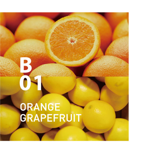 piezo diffuser aroma oil - Botanical air | At-Aroma USA