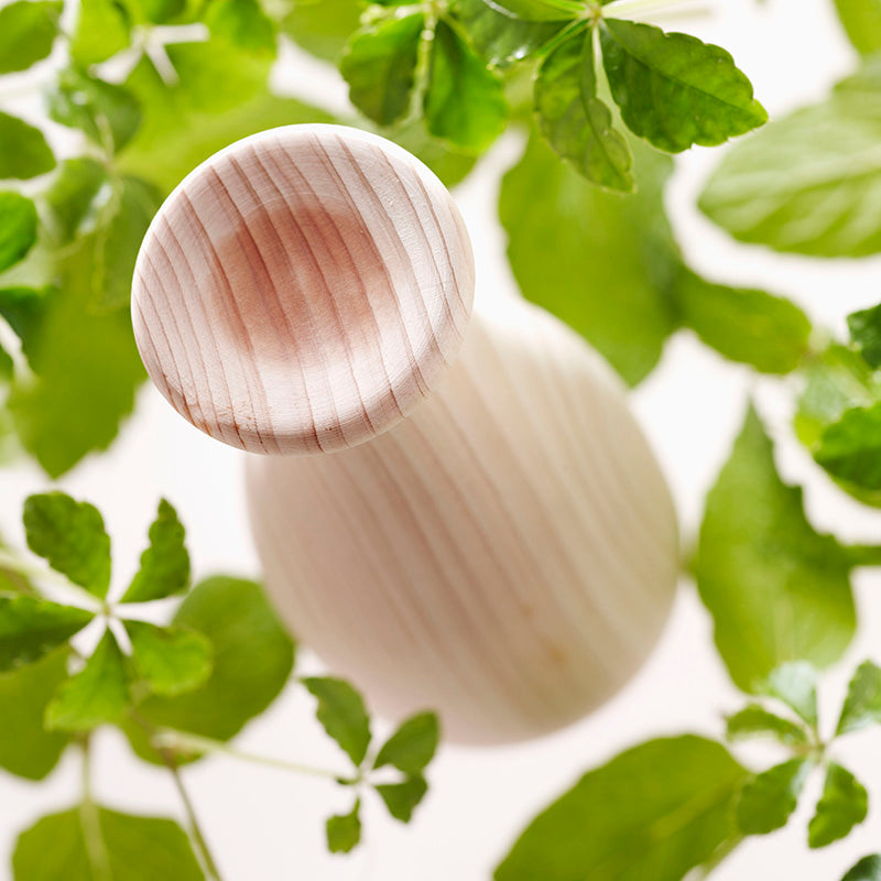 Wood diffuser 'hinoco' | At-Aroma USA